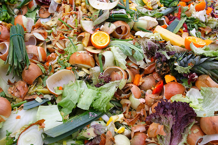Waste Management’s CORe Facility Diverts Food Waste from Urban Areas ...